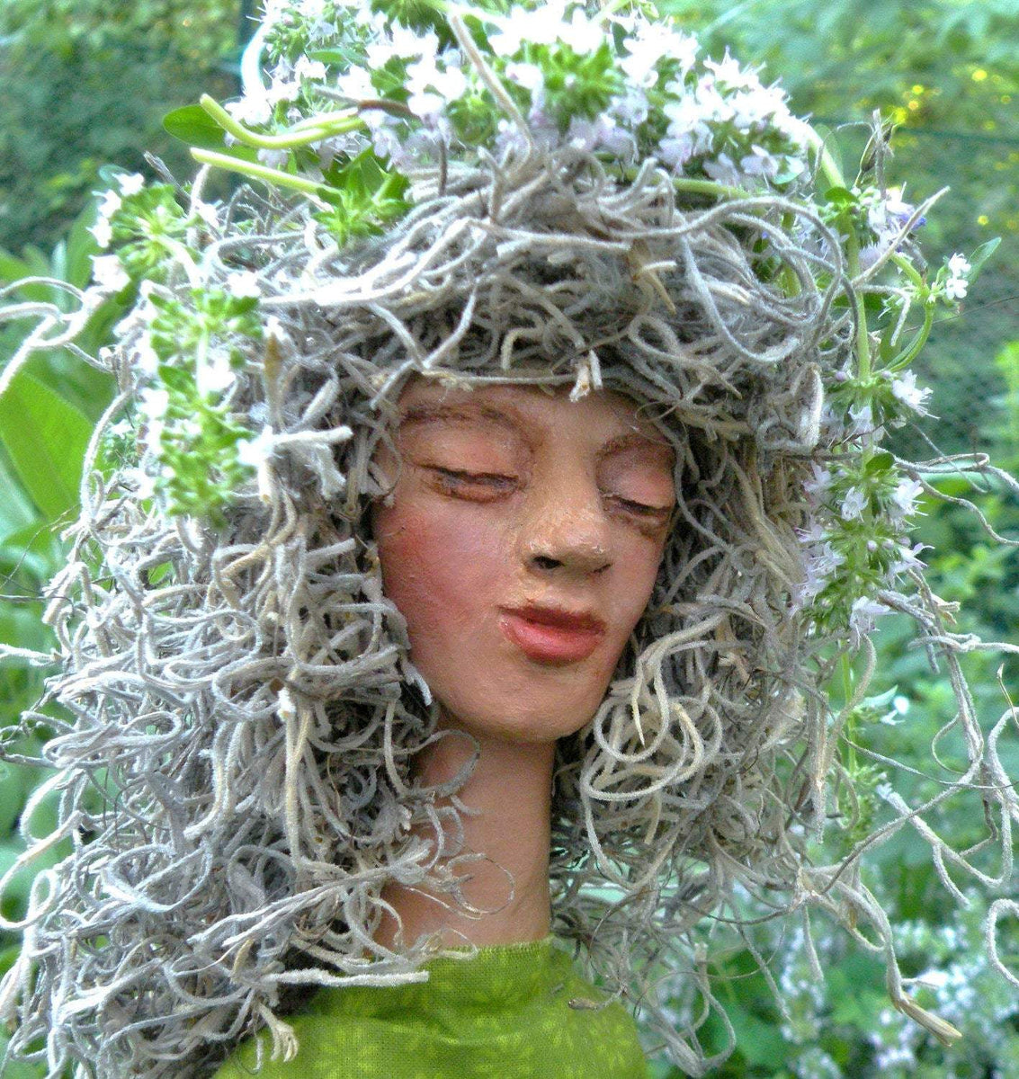 Herb Plants For Sale Buy Best – Andy's Asparagus Acres